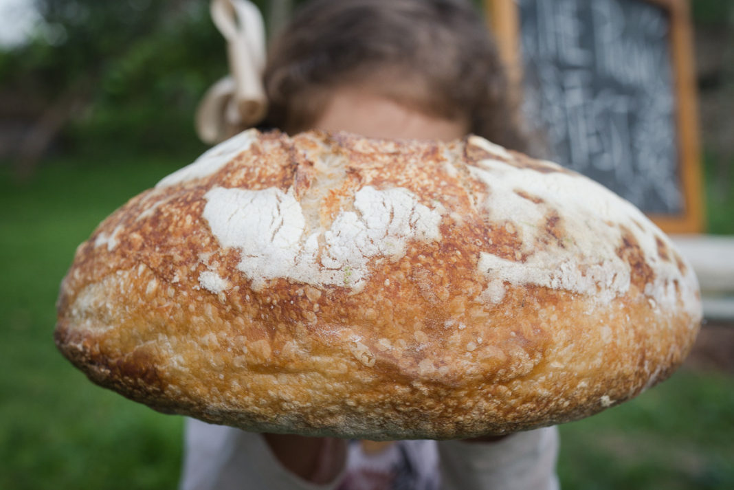 Juan Pablo Márquez @pan_comido, autor en Gastronomía en Venezuela